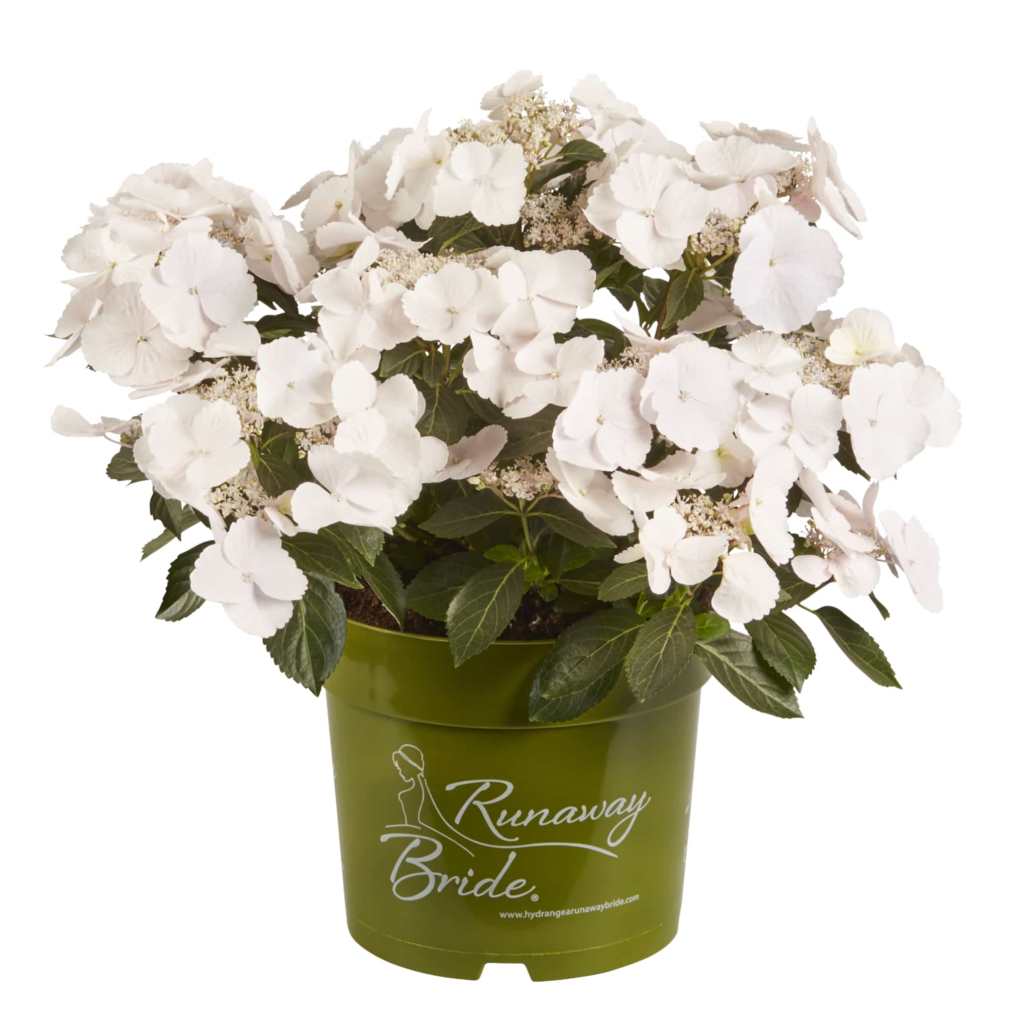 GARTNERIET MØLLERHØJ A/S